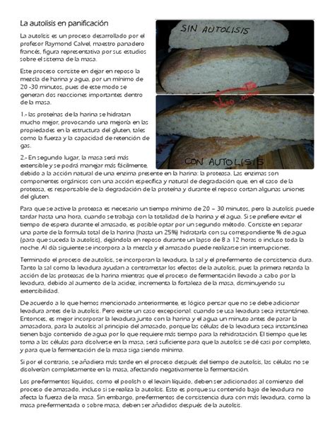 Autolisis En Panificación Proceso Y Beneficios Pdf Levadura Panes