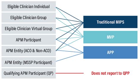 2024 Qpp Requirements Medisolv