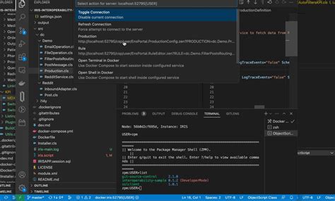 Enabling Iris Interoperability Source Control With Intersystems Package