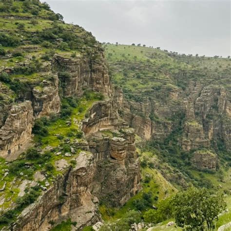 مریشک فرۆشی پاڕەزان