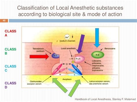 Local Anesthesia