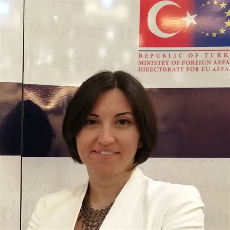 İlknur Eker Atilim University Ankara Department Of Translation And Interpretation