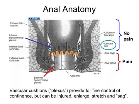 020612b A Gi Smorgasbord Common Gi Problems Part I