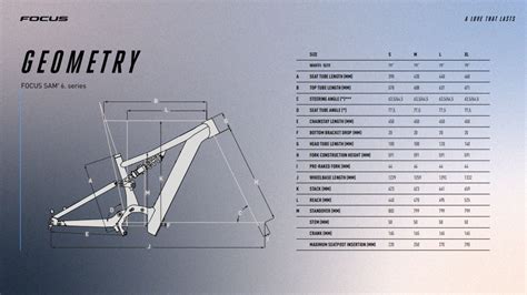 Focus Jam² And Sam² Updated With Fresh Geometry Kinematics And More Mbr
