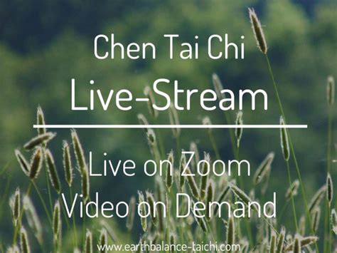 Beginners Chen Tai Chi Six Part Video Tuition Series