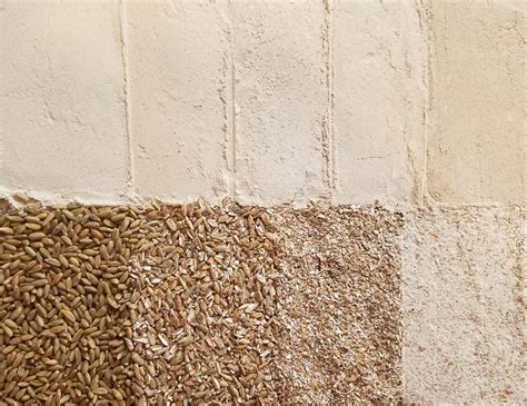 Rye Flour Classification Untangling The Mess The Rye Baker