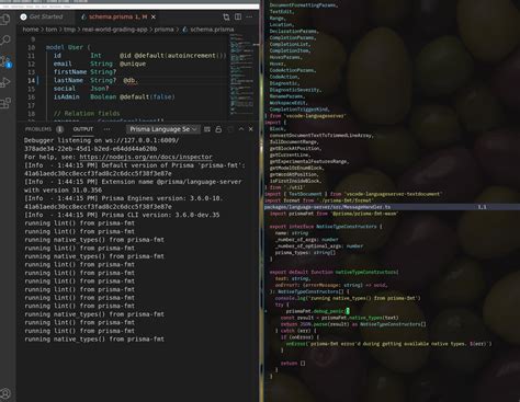 Wasm Module Error Behavior · Issue 968 · Prismalanguage Tools · Github