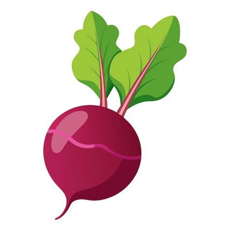Beetroot Vegetables Vector Premium Ai Generated Vector