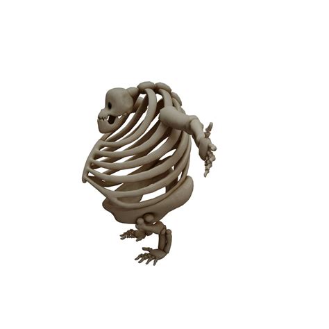 3d Chubby Fat Skeleton Rigged 3d Model Turbosquid 2490140