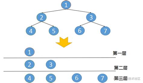 107 Hierarchical Traversal Of Binary Trees Ii Moment For Technology