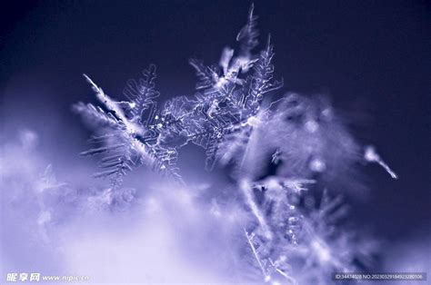 雪花冰晶摄影图自然风景旅游摄影摄影图库昵图网