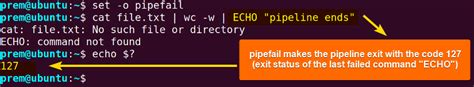 How To Set And Use Pipefail In Bash Explained Guide Linuxsimply