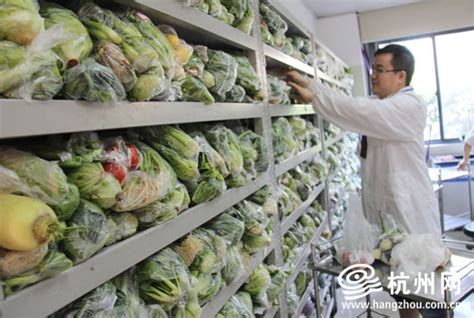 “蔬菜全检测”保障杭州菜篮子安全 杭州网