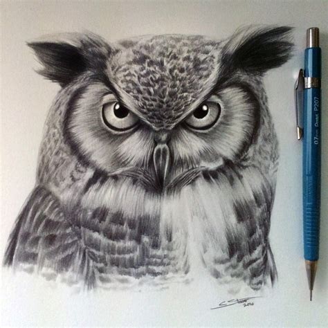 Art Drawing Of Owl At Robert Printz Blog
