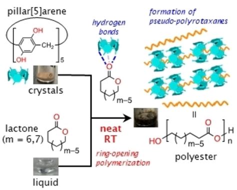Room‐temperature Ring‐opening Polymerization Of δ‐valerolactone And ϵ‐caprolactone Caused By