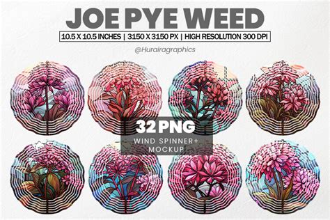 Joe Pye Weed Wind Spinner Bundle Graphic By Hurairagraphics · Creative