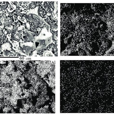 Microstructure Of The Cross Section Of Es Coating Of Alb 12 50 Wt Al