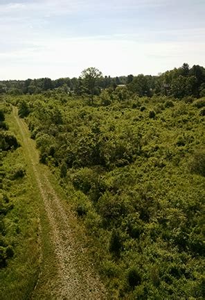 Wildlife Management Areas Provide Habitat Management Demonstration