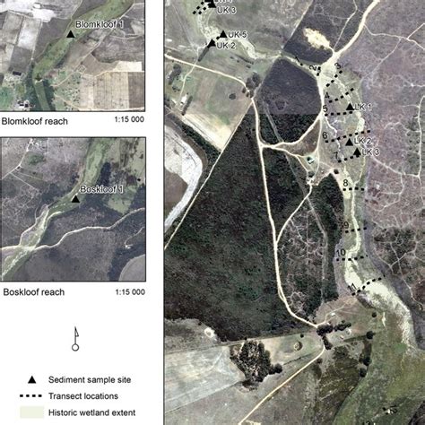 Location Of Sediment Sample Sites And Cross Sections Selected For