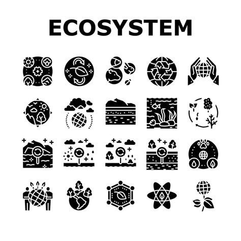 Ecosystem Environment Collection Icons Set Vector 10302492 Vector Art