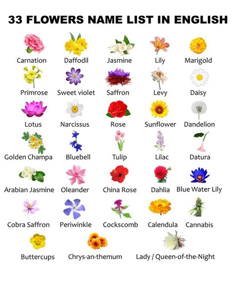 15 Flowers Names With Pictures Flower Names List Artofit