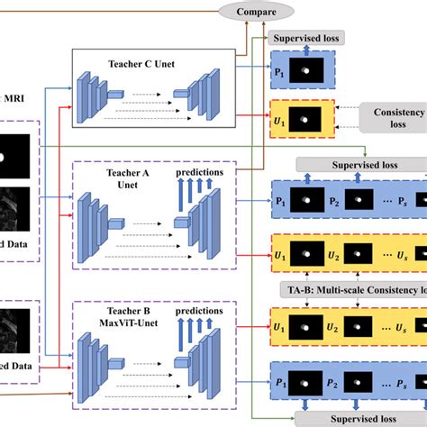 Overview Of The Model Semi Tms The Proposed Network Consists Of Three