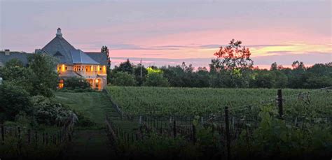 About Us Andrew Peller Ltd