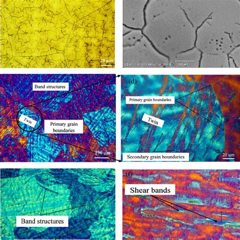 Reaction Schemes Of Aptes Modified Silica And The Preparation Procedure Download Scientific