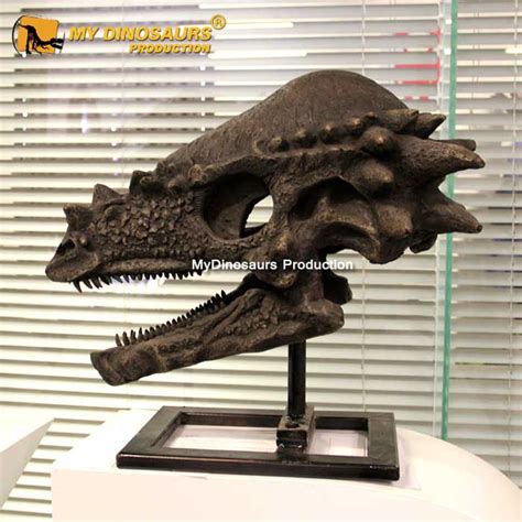 Dinosaur Fossil Skull