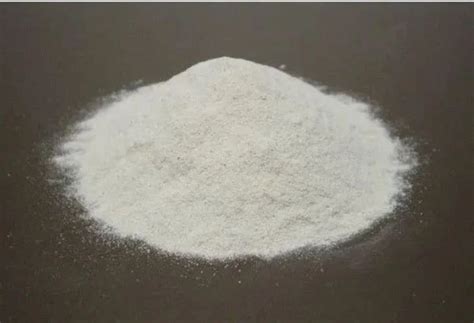 Lactobacillus Brevis 10 200 Bn Packaging Type Pack At ₹ 125kg In Surat