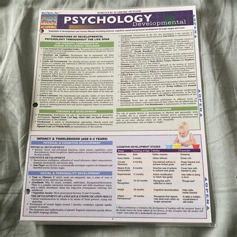 Psychology Developmental Life Span By Barcharts Inc