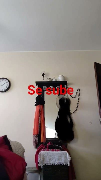 Ftfh Youtube