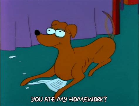 Homework Bad S Get The Best  On Giphy