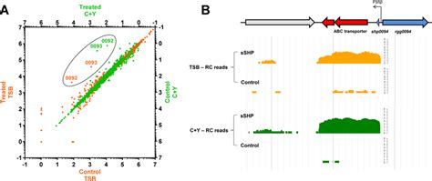 Transcriptome Analysis Revealed One Gene Cluster Significantly
