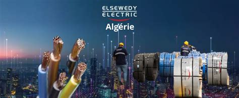 Malik Leharani Directeur Commercial à Elswedy Electric Algérie