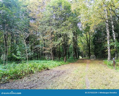 Footpath In Talsa Park During Sunny Summer Day Stock Image Image Of