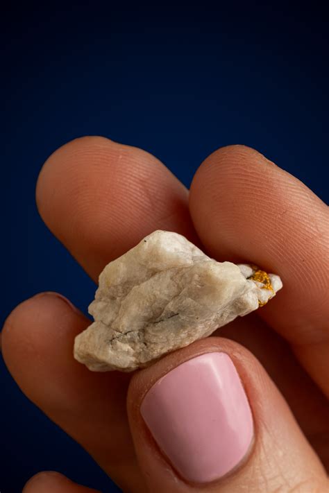 Bright Gorgeous Natural Gold Quartz Nugget Alleghany Mining District