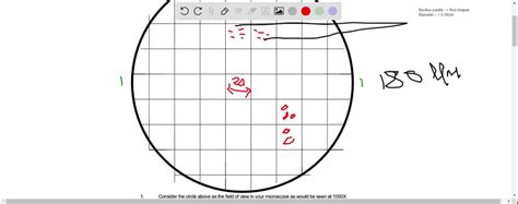 Draw A Corresponding Microscope Image To Fit Into The Microscope