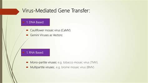 Gene Transfer Methods Pptx
