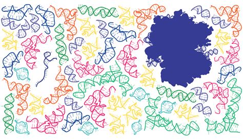 Rna Canada Arn 2025 Design Contest Rna Canada Arn