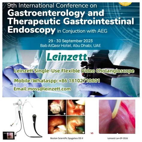 Ercp Cholangioscope Choledochoscopy Ehl Laser Gastroenterology