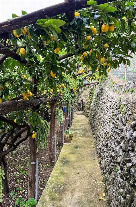 How To Spend Five Days In The Amalfi Coast And Sorrento