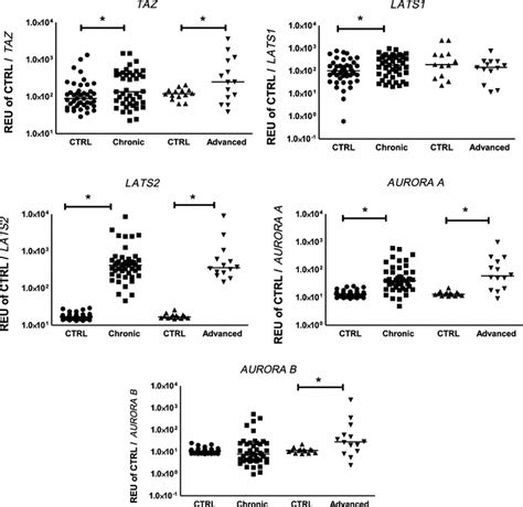 Comparative Analysis Of The Levels Of The Target Genes Expression In