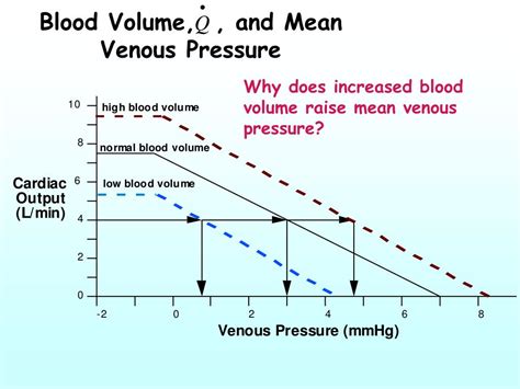 Ppt Mean Arterial And Venous Pressure And Cardiac Output Powerpoint Presentation Id5606577