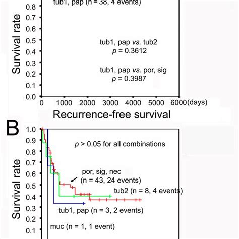 Recurrence Free Survival Of Gc According To The Histological Subtype A Download Scientific