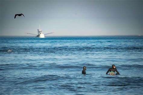 Surfing Westport Your First Wave Is Closer Than You Think — Experience