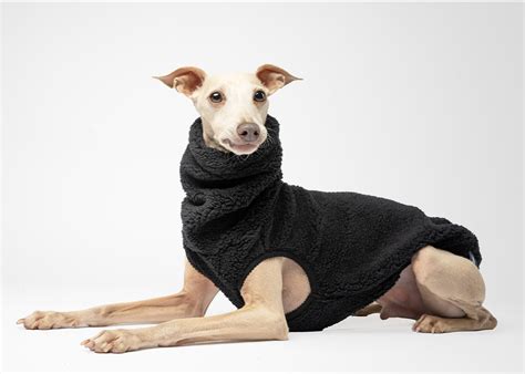 Fuzzy Bat Gone With The Hound Greyhound