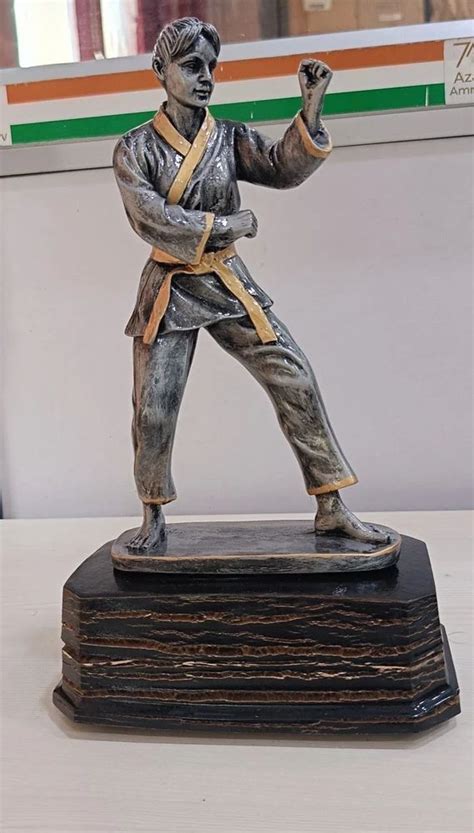 Aluminium Women Karate Trophy At ₹ 450 In Chennai Id 2854630180133
