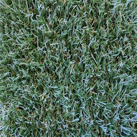 Glow In The Dark Artificial Grass Glow Grass Exclusive Range