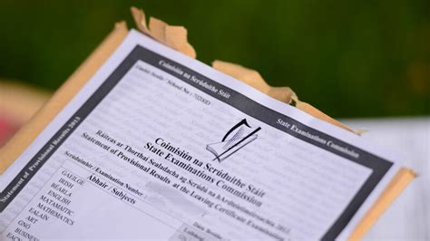 Sex Education To Be Compulsory For Leaving Cert Students The